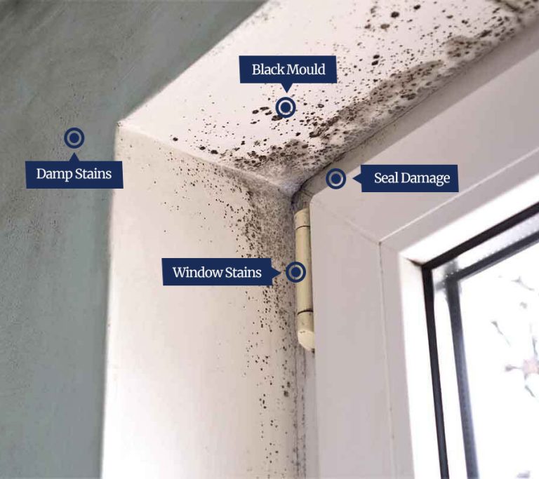 Housing Disrepair - Trafford Law Solicitors